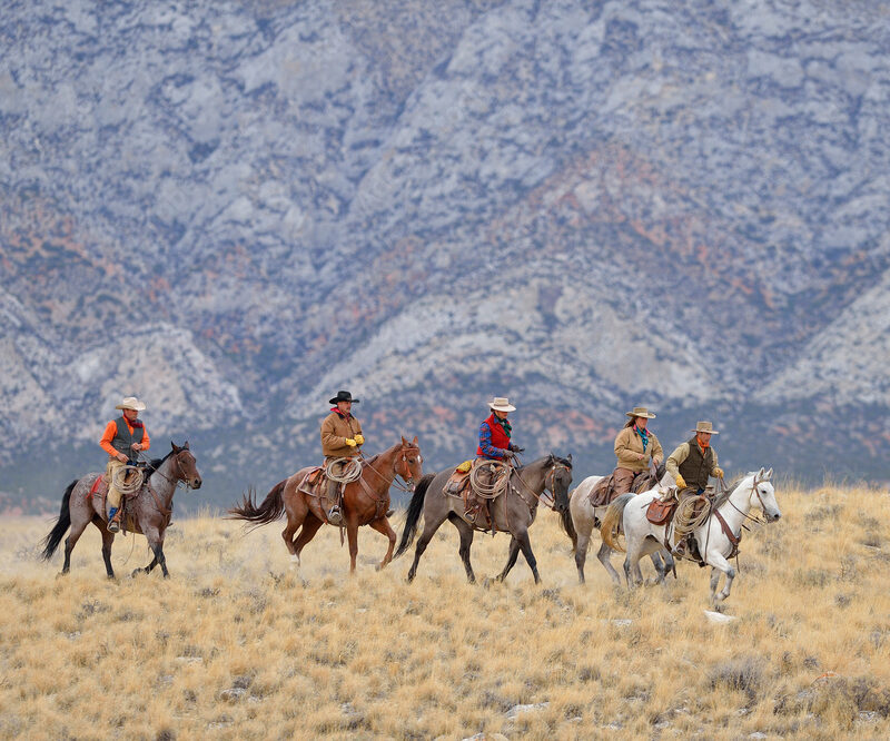 LEARN MORE - Christopher Baron